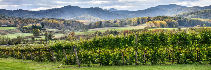 DSS Specialist II- UVA Medicaid Unit | Careers in Government