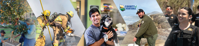 Plan Check Engineer I/II/III | Careers in Government